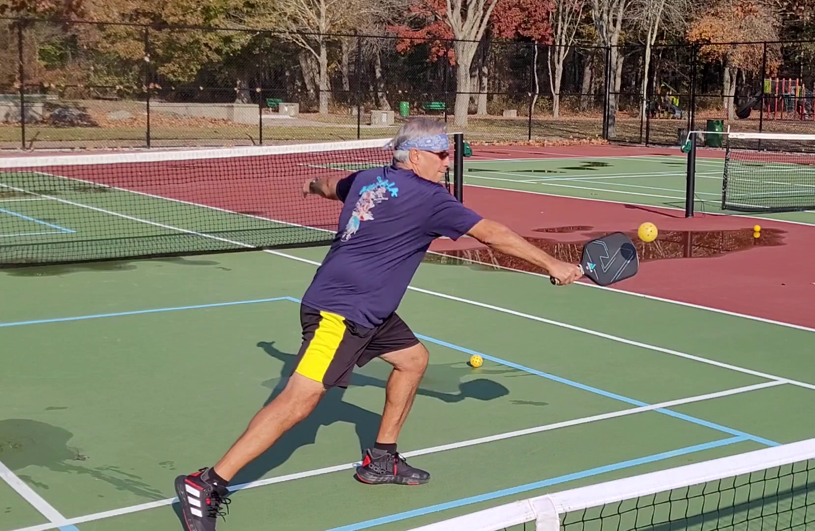 Learn How to Play Pickleball LIKE A PRO -Teaching Videos!